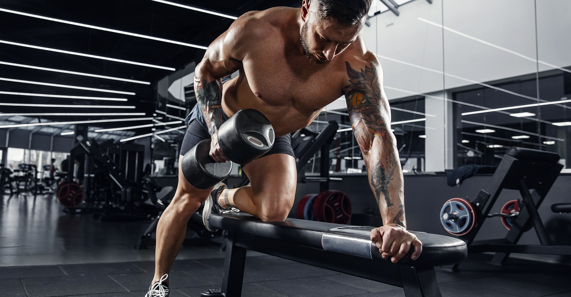 Top Bodybuilding Exercises to Sculpt a Stronger Physique - Wellness Village